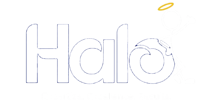 Halo Consulting Solutions
